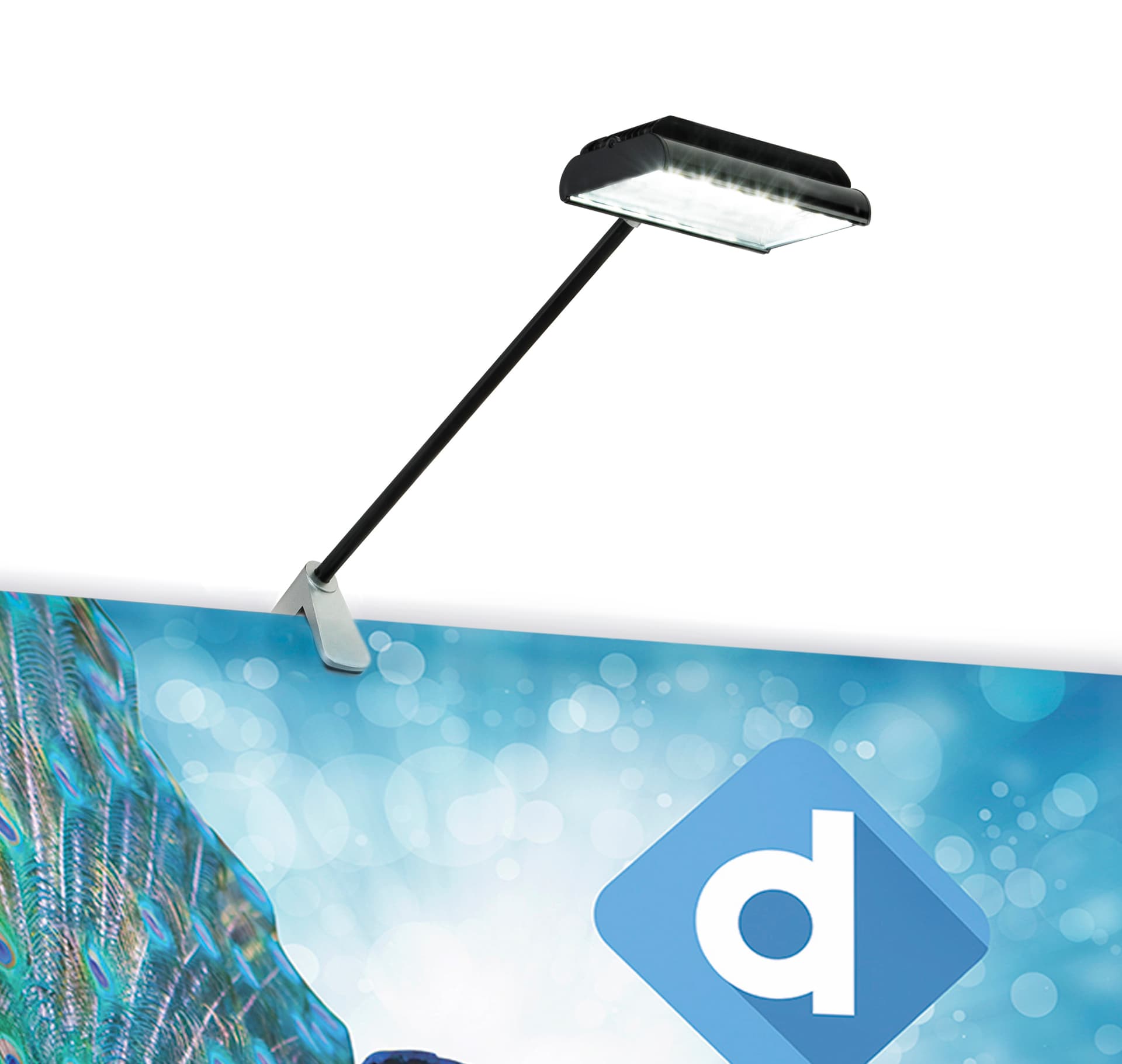 LED Exhibit Stem Light | Set of 2 with Black Finish | Displays2Go
