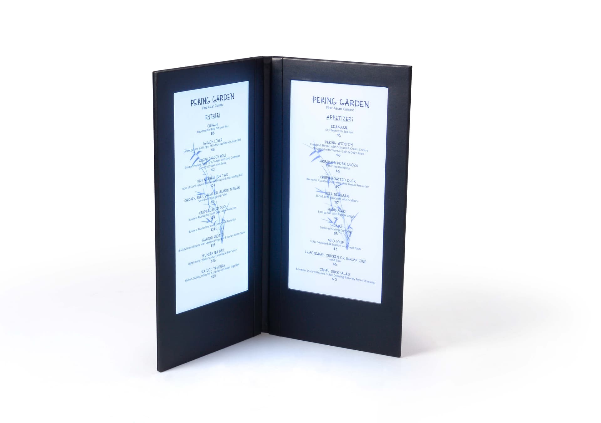 Lighted Menu | LED Illuminated (2) Page Book | Displays2Go