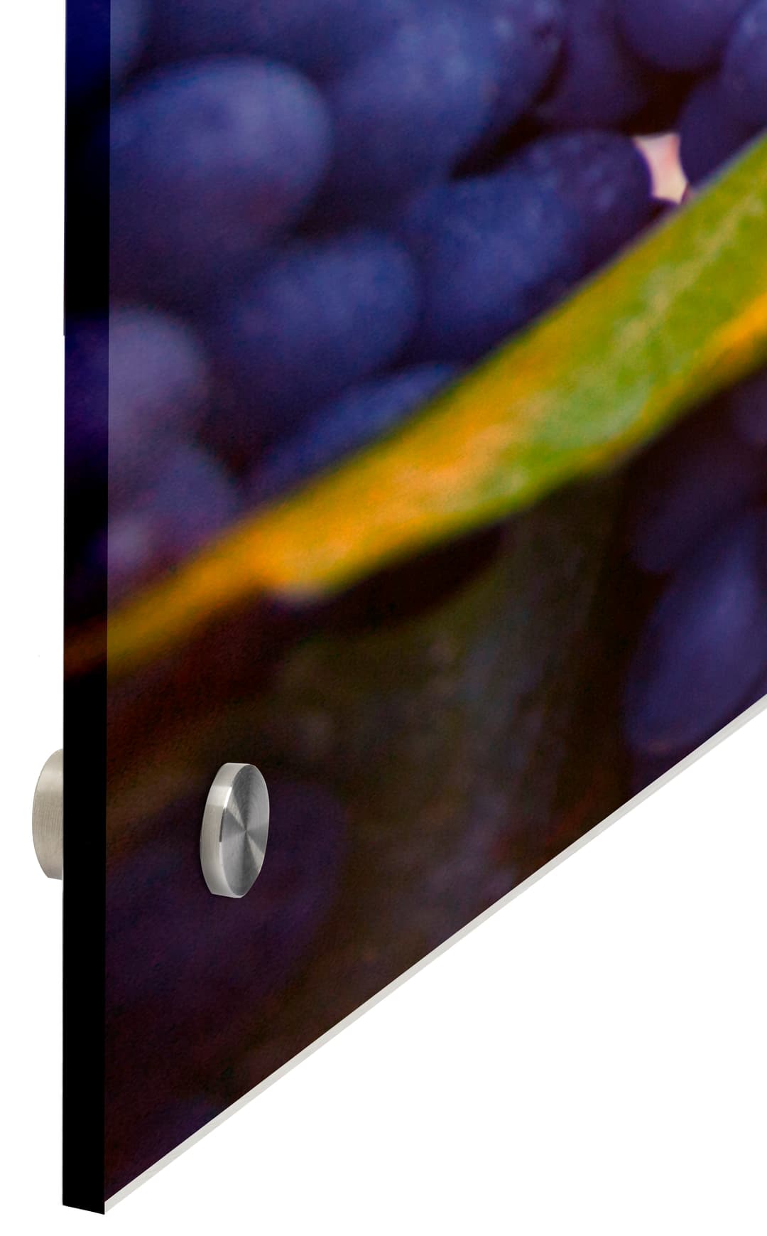 Wine Themed Art | UV Printing | Displays2Go
