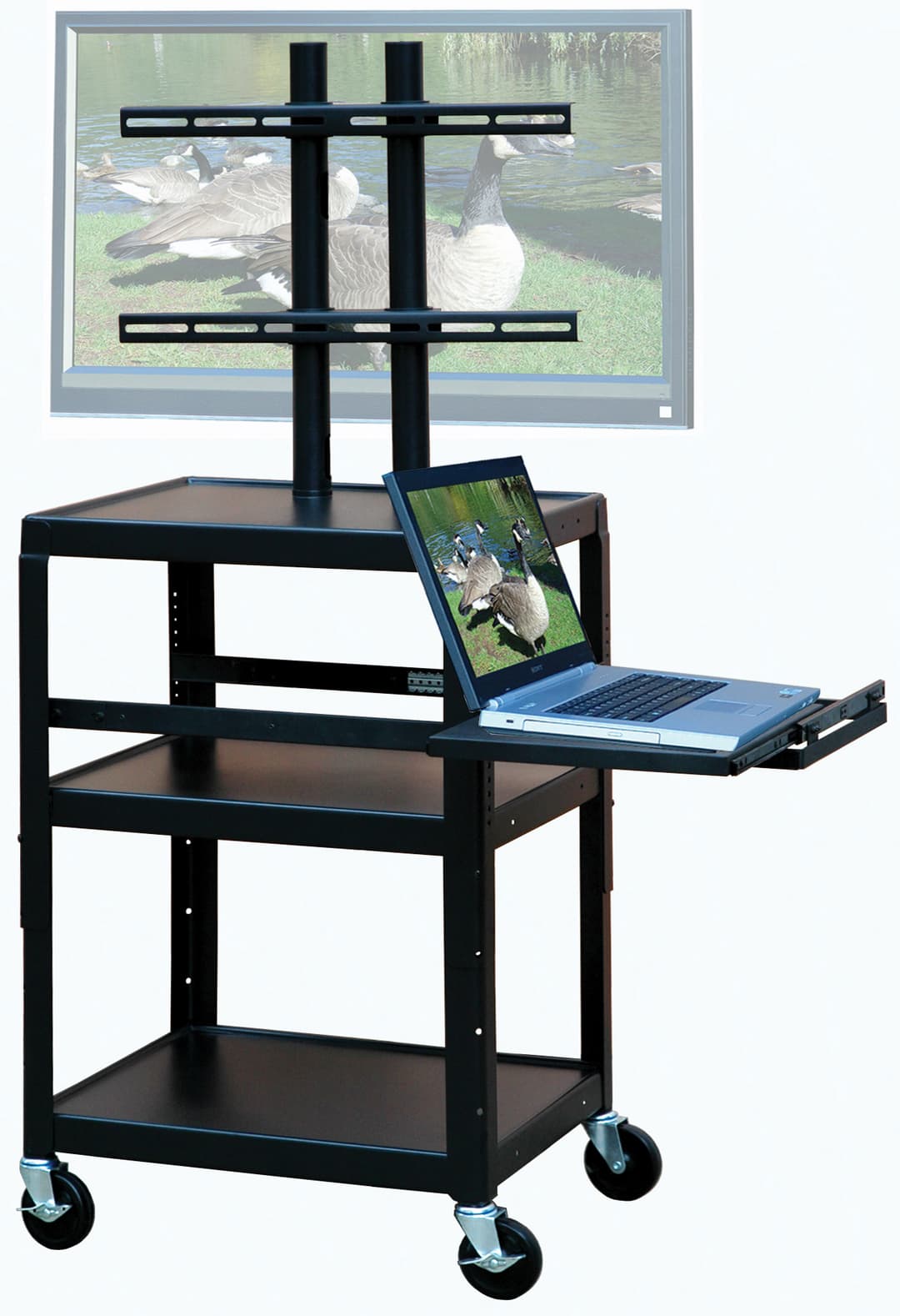 Mobile AV Cart for Mounting Up to a 46" Plasma Screen | Displays2Go