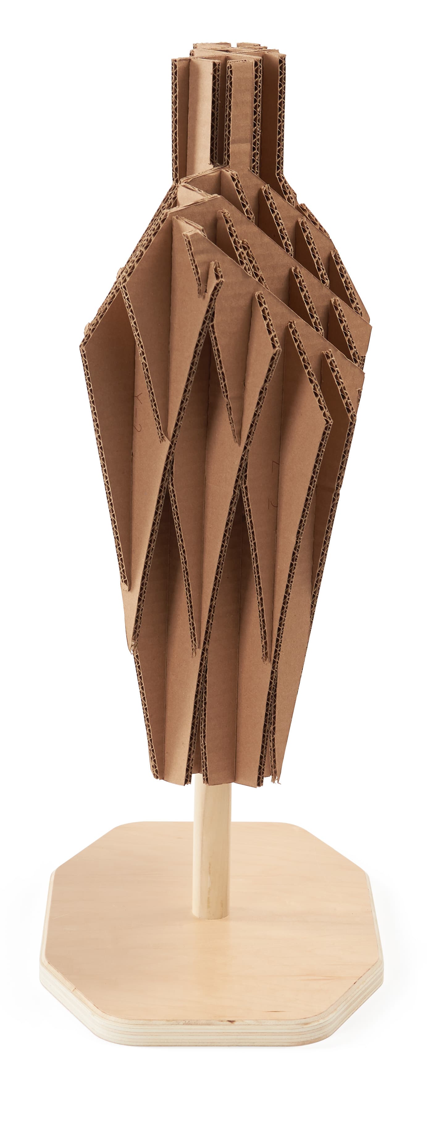 Cardboard Mannequin Torso | Unisex Design | Displays2Go