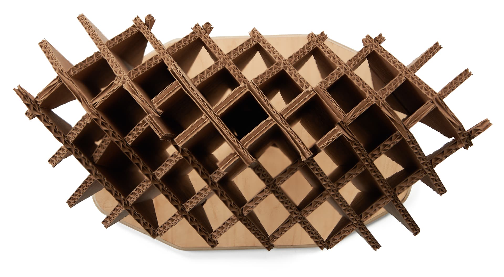 Cardboard Mannequin Torso | Unisex Design | Displays2Go
