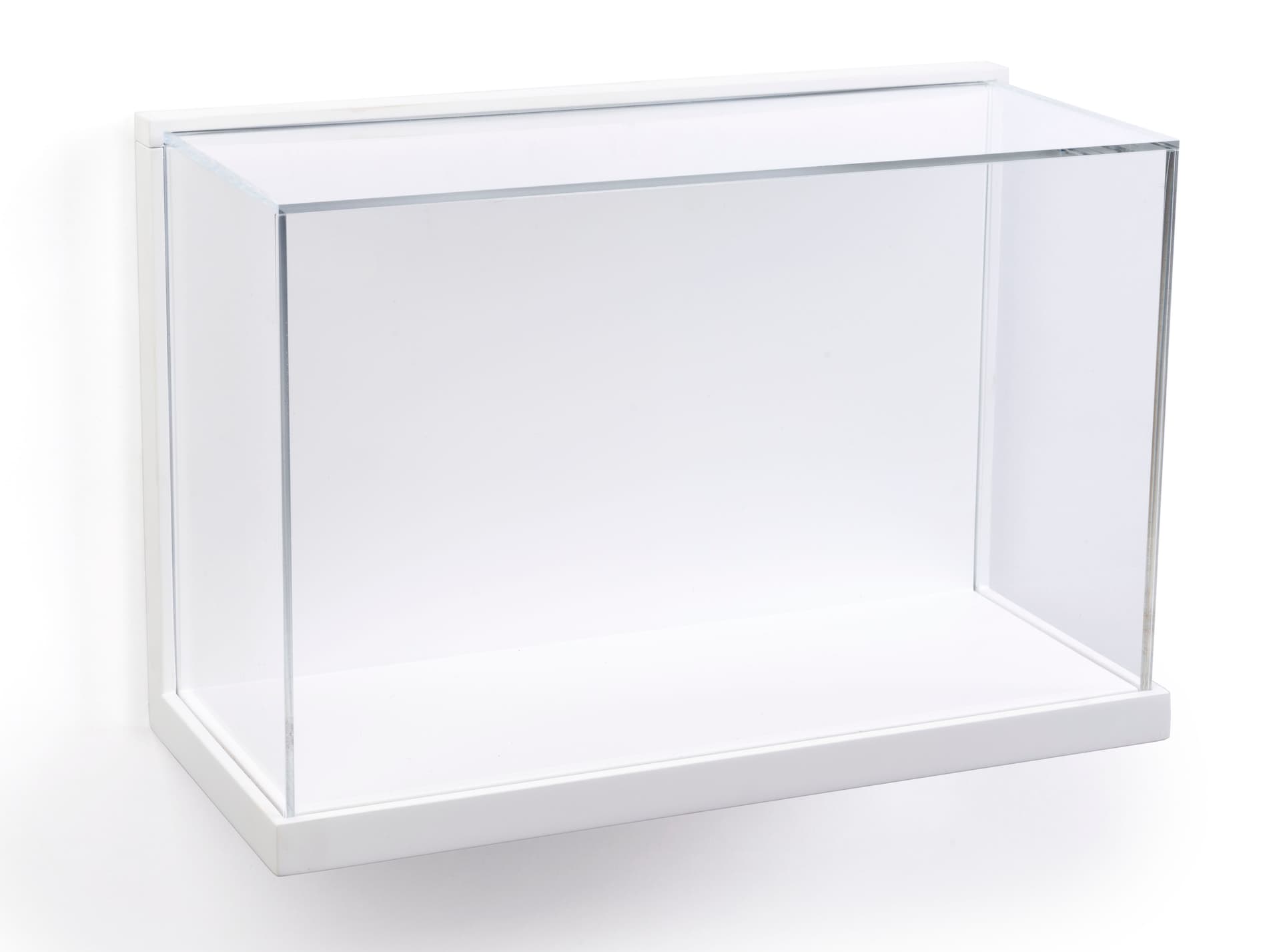 Museum Style Wall Mount Display Box | Basketball Shoe Size | Displays2Go