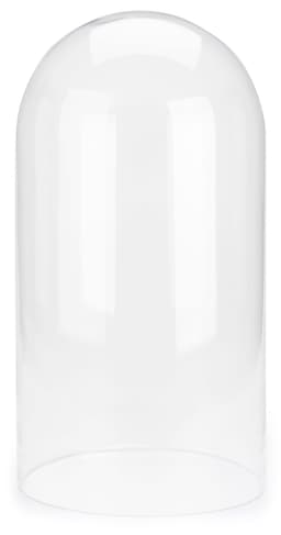 Glass Dome Cover | Baseless Bottom | Displays2Go