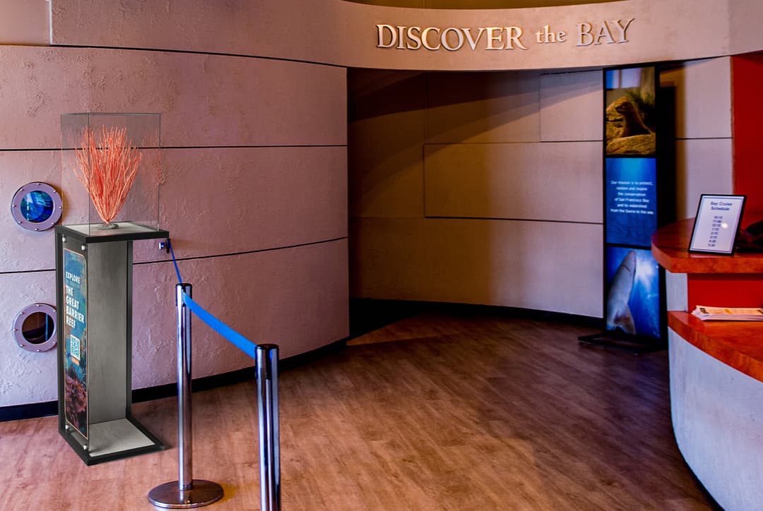 Custom Display Plinth | Eco-Friendly | Displays2Go