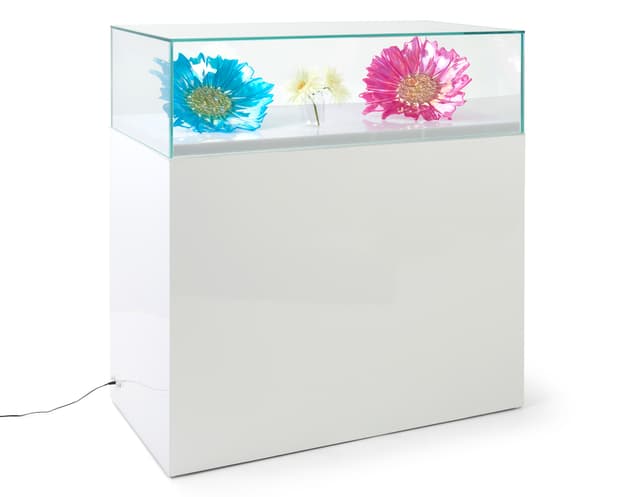 LED Exhibit Showcase | Removable Tempered Glass Topper | Displays2Go