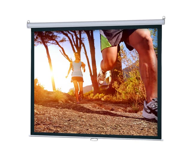 Projector Screen - 120" Diagonal | Displays2Go