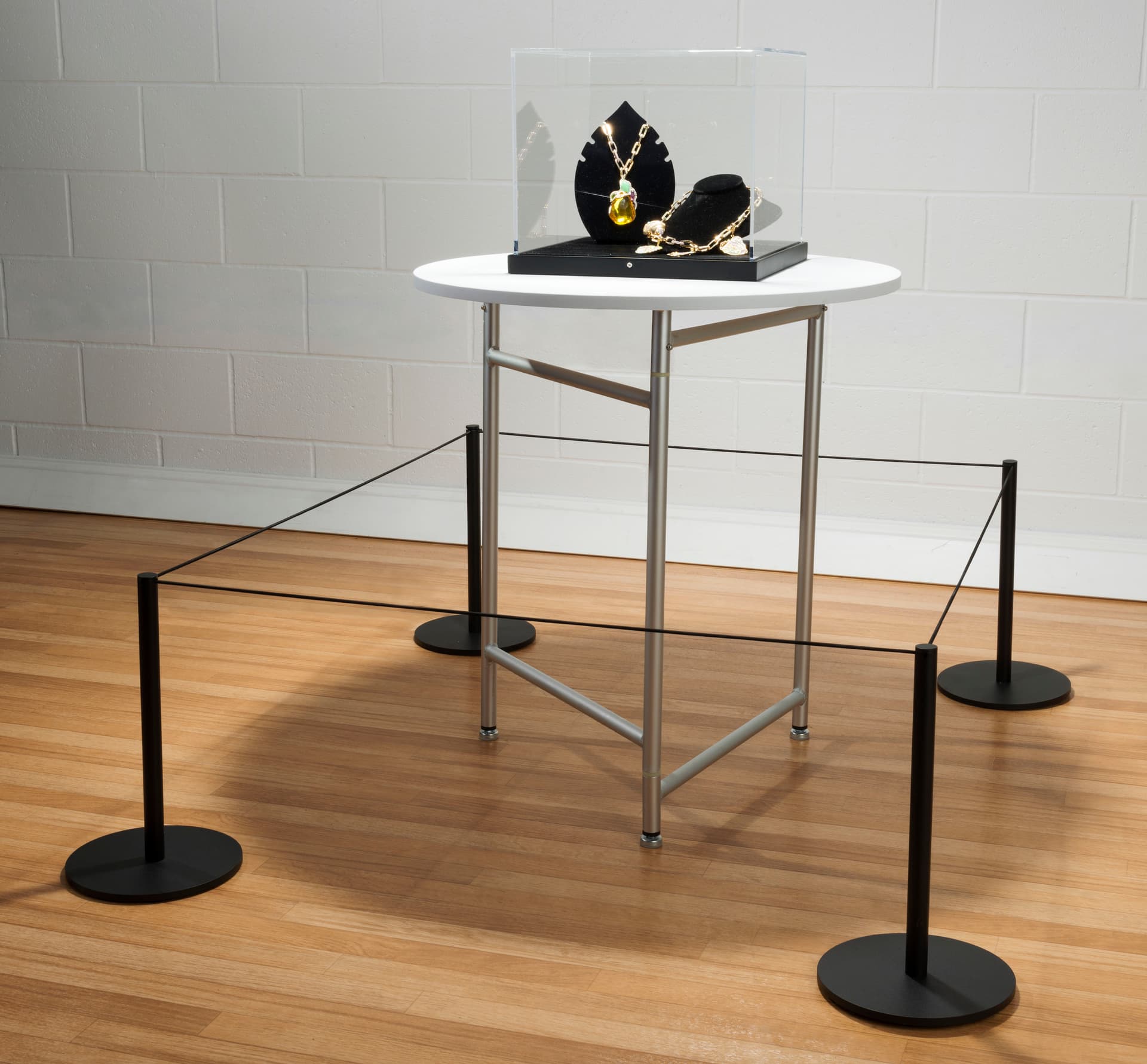 8-Barrier Black Low Profile Stanchion System | 100’ Elastic Cord ...