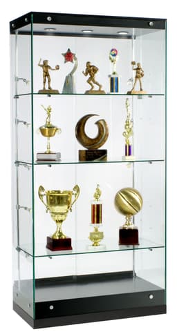 Awards Display Case | Glass Cabinet With Adjustable Side Lighting ...