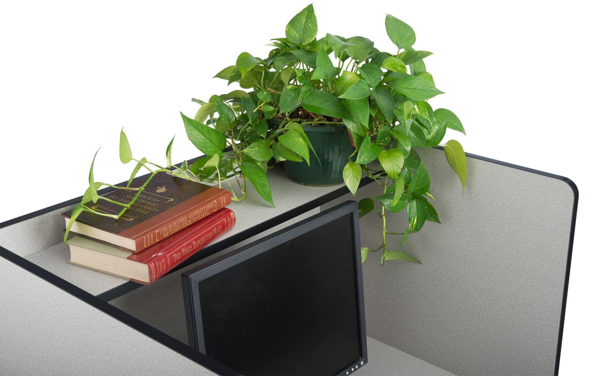 Work Carrel | Height Adjustable from 47”-53” in 1" Increments | Displays2Go