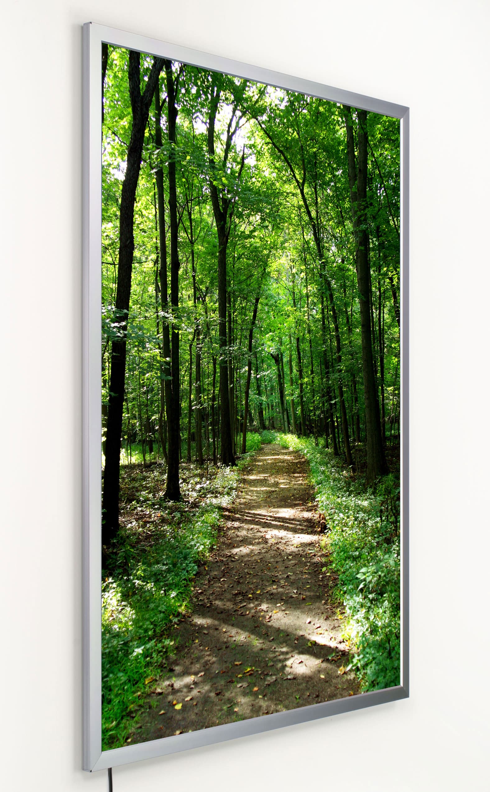 LED Duratrans Light Box for 24" x 36" Posters | Displays2Go