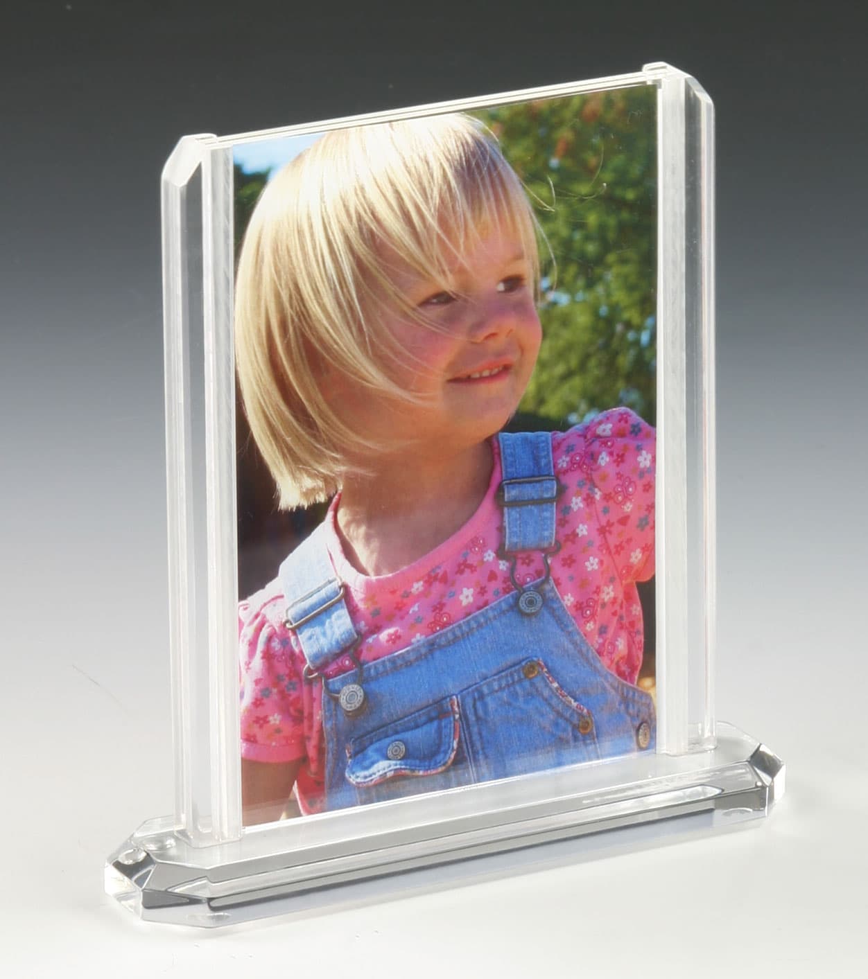 Clear Plastic Displays for Advertising 4" x 6" Menus or Specials ...