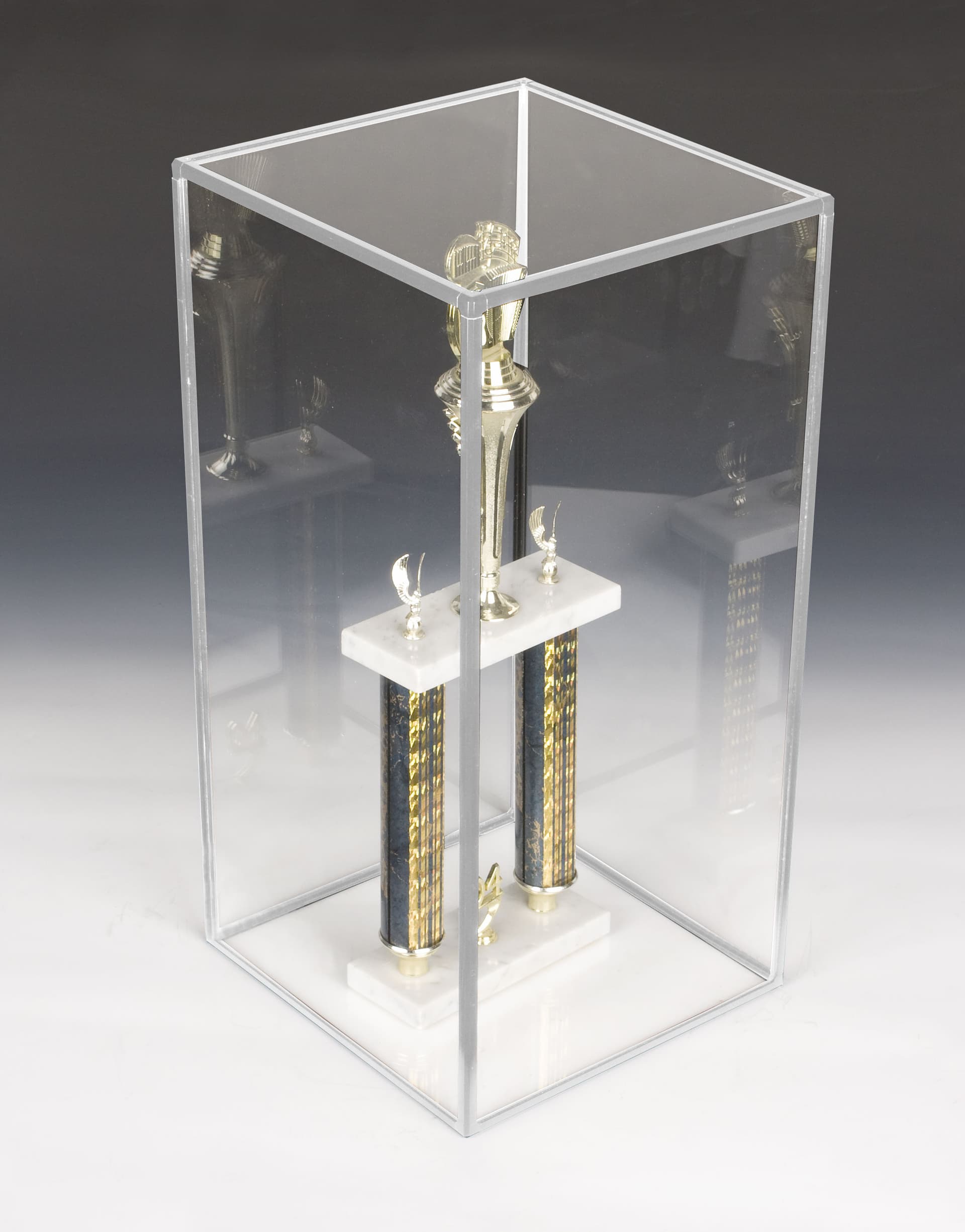 Acrylic Display Cases | Vertical or Horizontal Countertop Fixtures ...