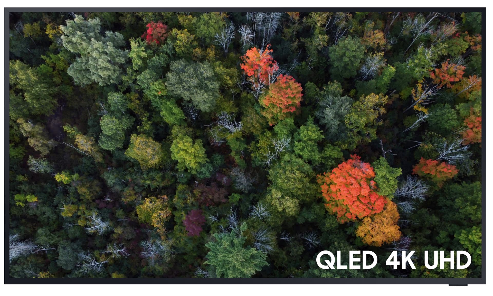 Weather-Resistant Outdoor TV | QLED 4K UHD Picture Resolution | Displays2Go