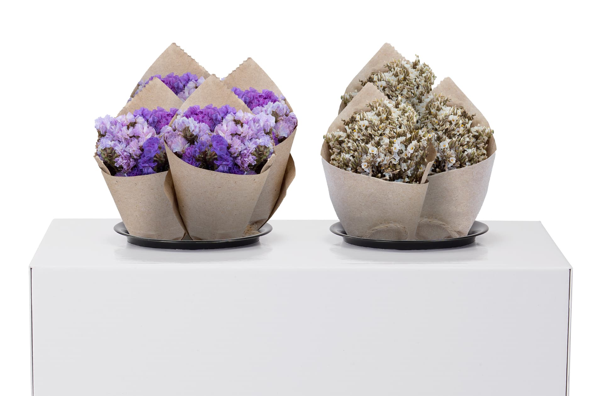 Commercial Flower Display Stands | Fresh Flowers Stock Graphic ...
