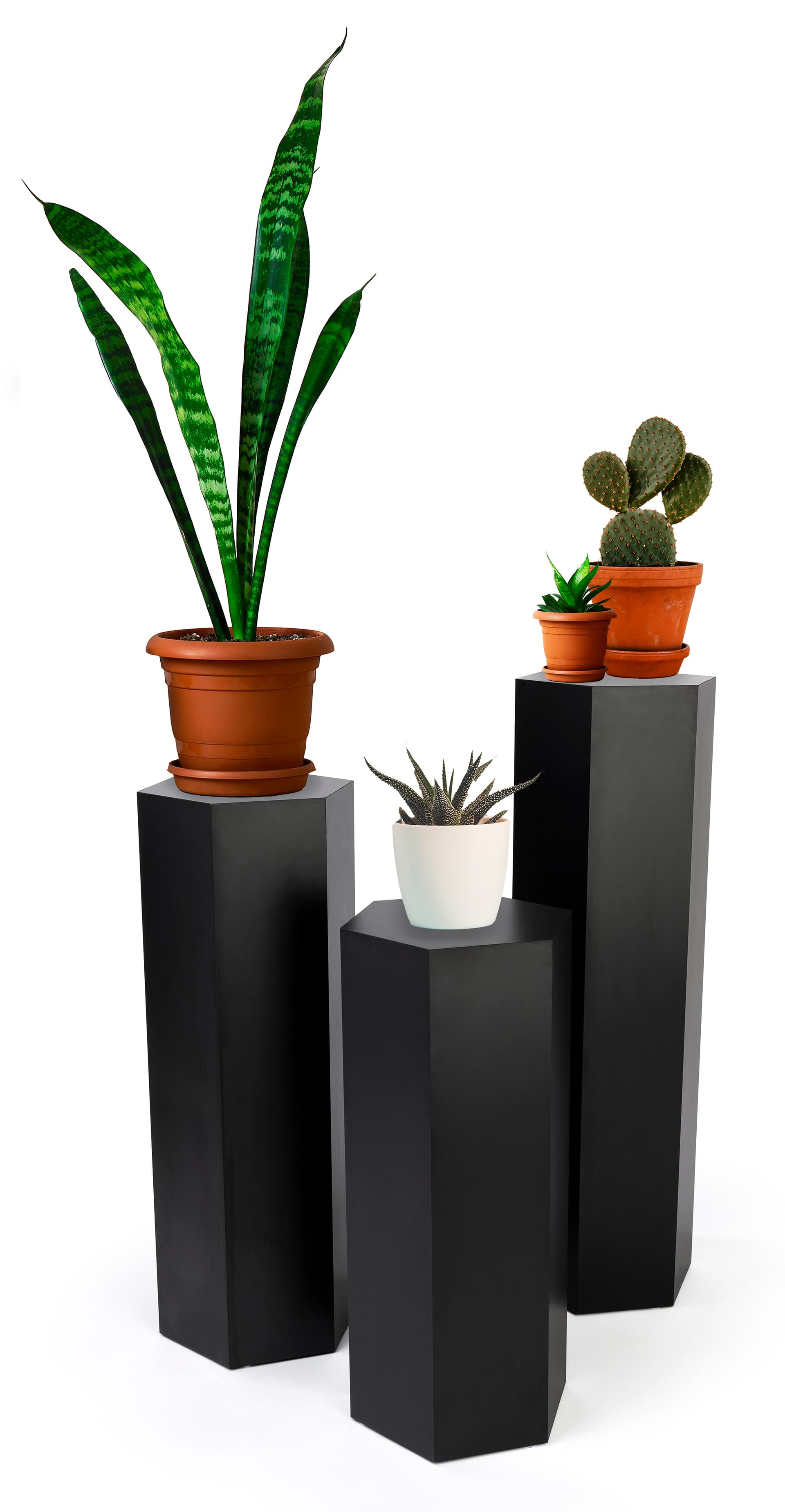 Hexagon Museum Plinth Set | Includes Three Different Heights | Displays2Go