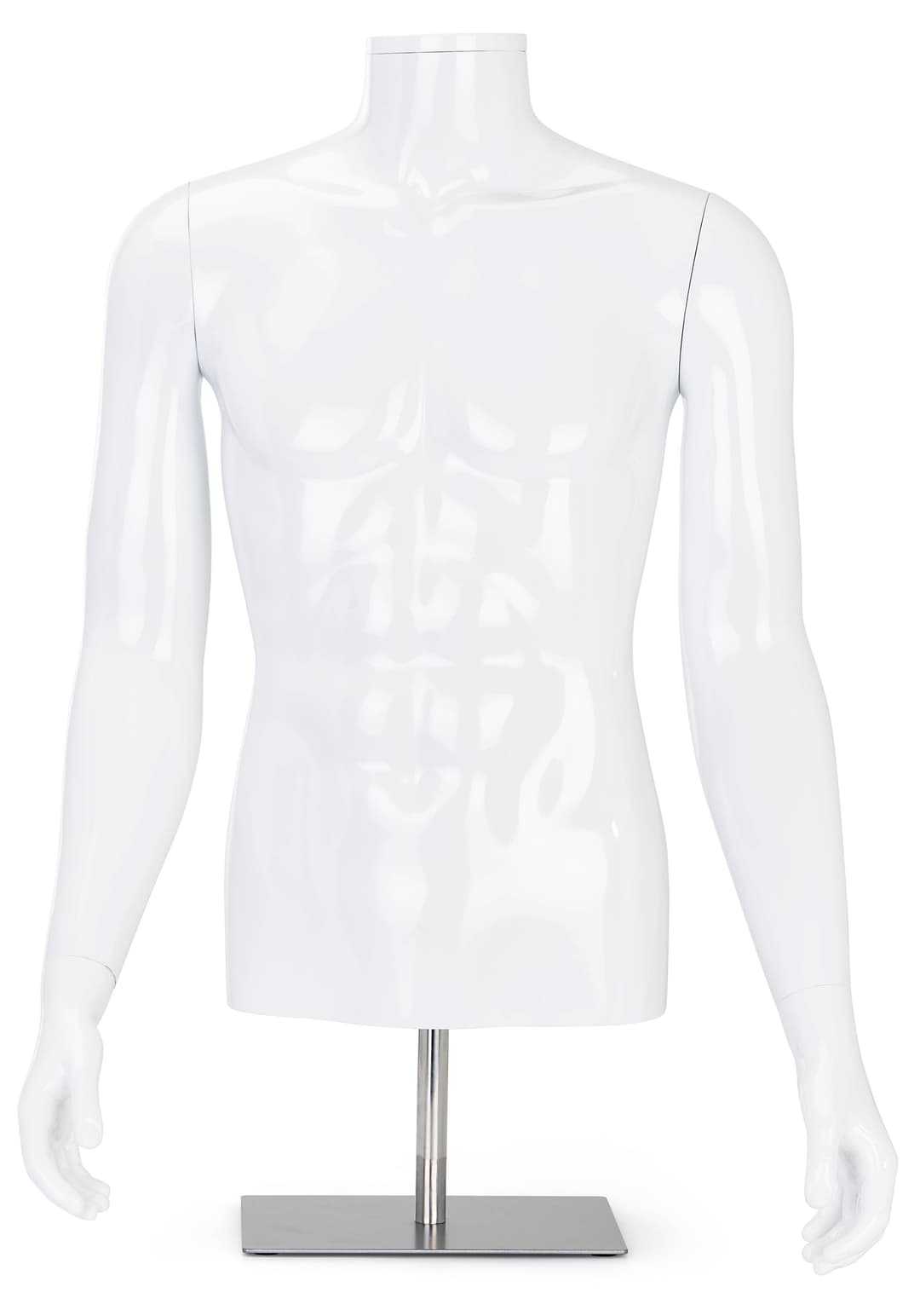 Abstract Male Display Torso | Height-Adjustable Metal Base | Displays2Go