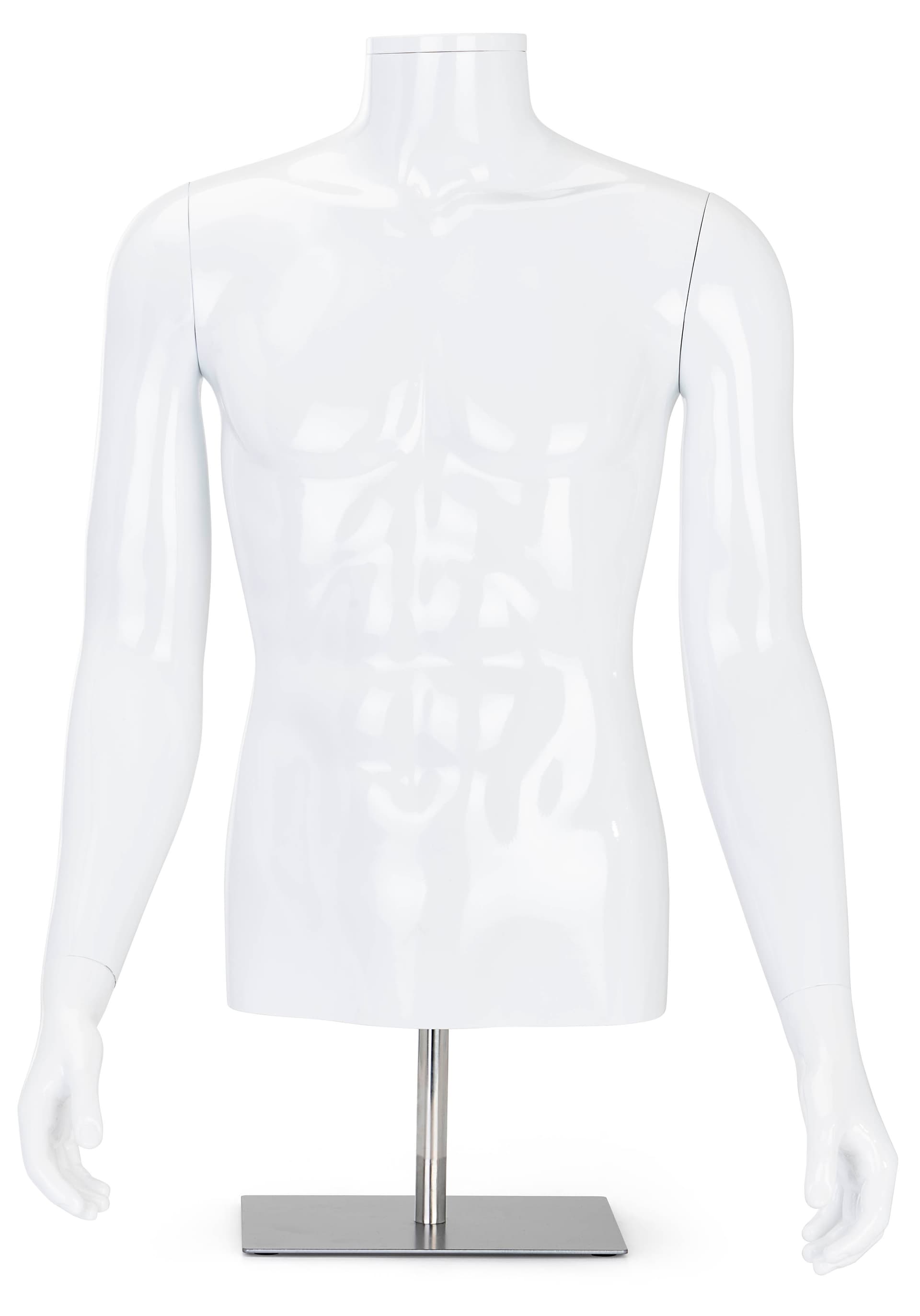 Abstract Male Display Torso | Height-Adjustable Metal Base | Displays2Go
