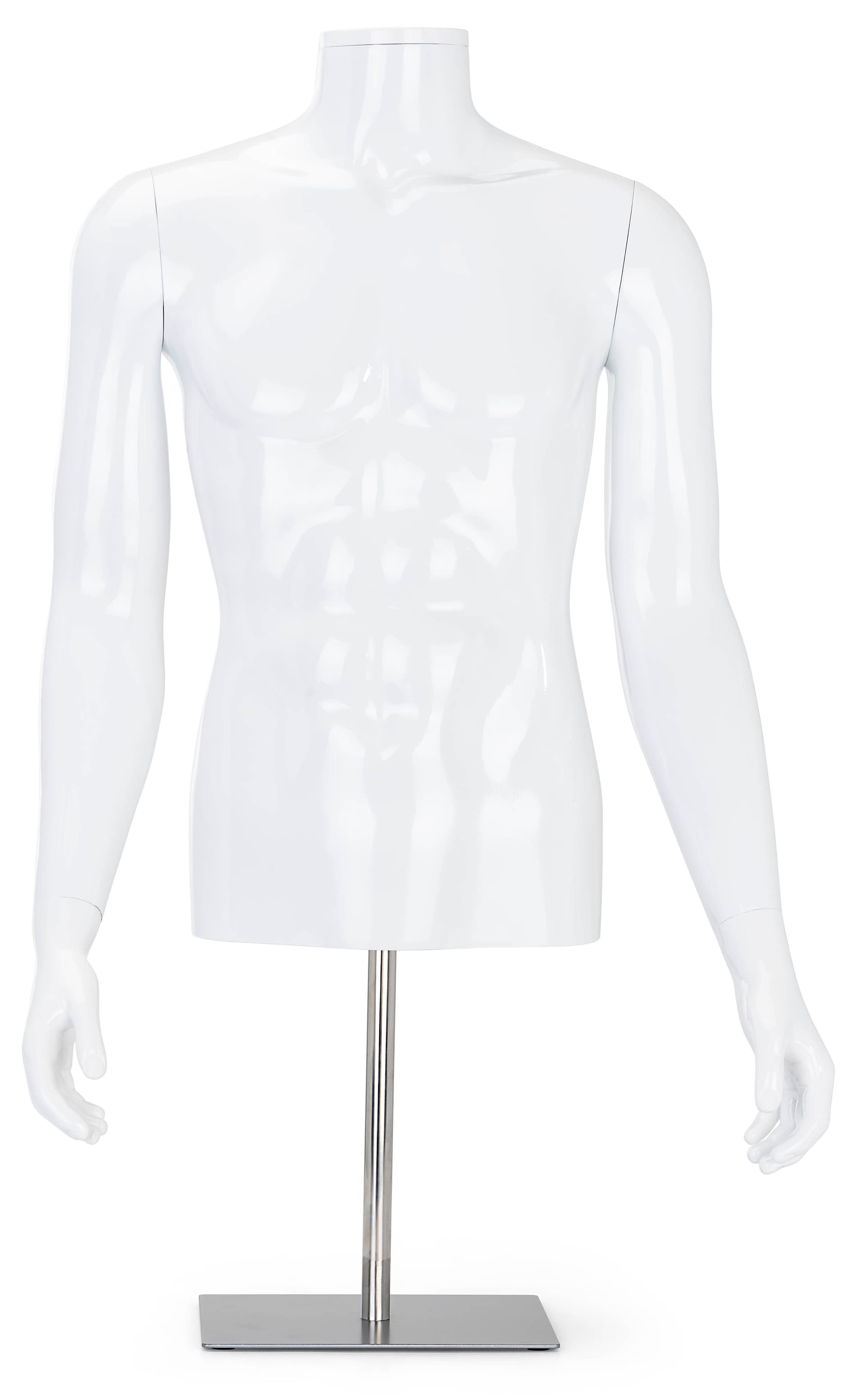 Abstract Male Display Torso | Height-Adjustable Metal Base | Displays2Go