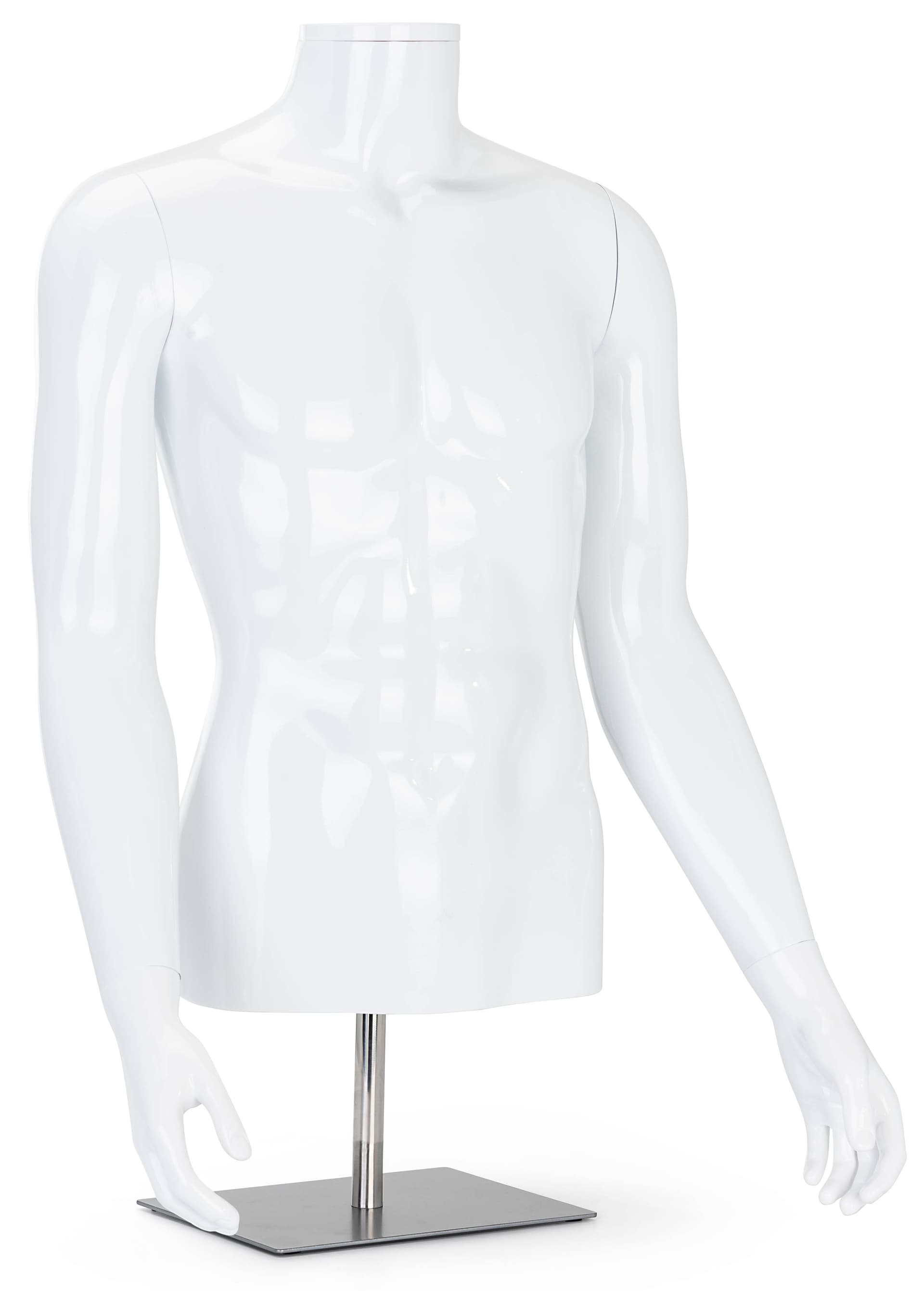 Abstract Male Display Torso | Height-Adjustable Metal Base | Displays2Go