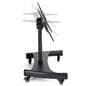 Confidence Monitor Stand | Low Height Angled Cart | Displays2Go