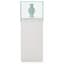 Glass-Top Pedestal Display Case | Frameless Glass Showcase | Displays2Go