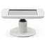 White iPad Checkout Stand | Countertop Mounted | Displays2Go