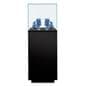 Museum Pedestal Display Case | Locking | Displays2Go