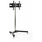 Mobile Monitor Stand - 6' Tall With (4) Locking Casters | Displays2Go